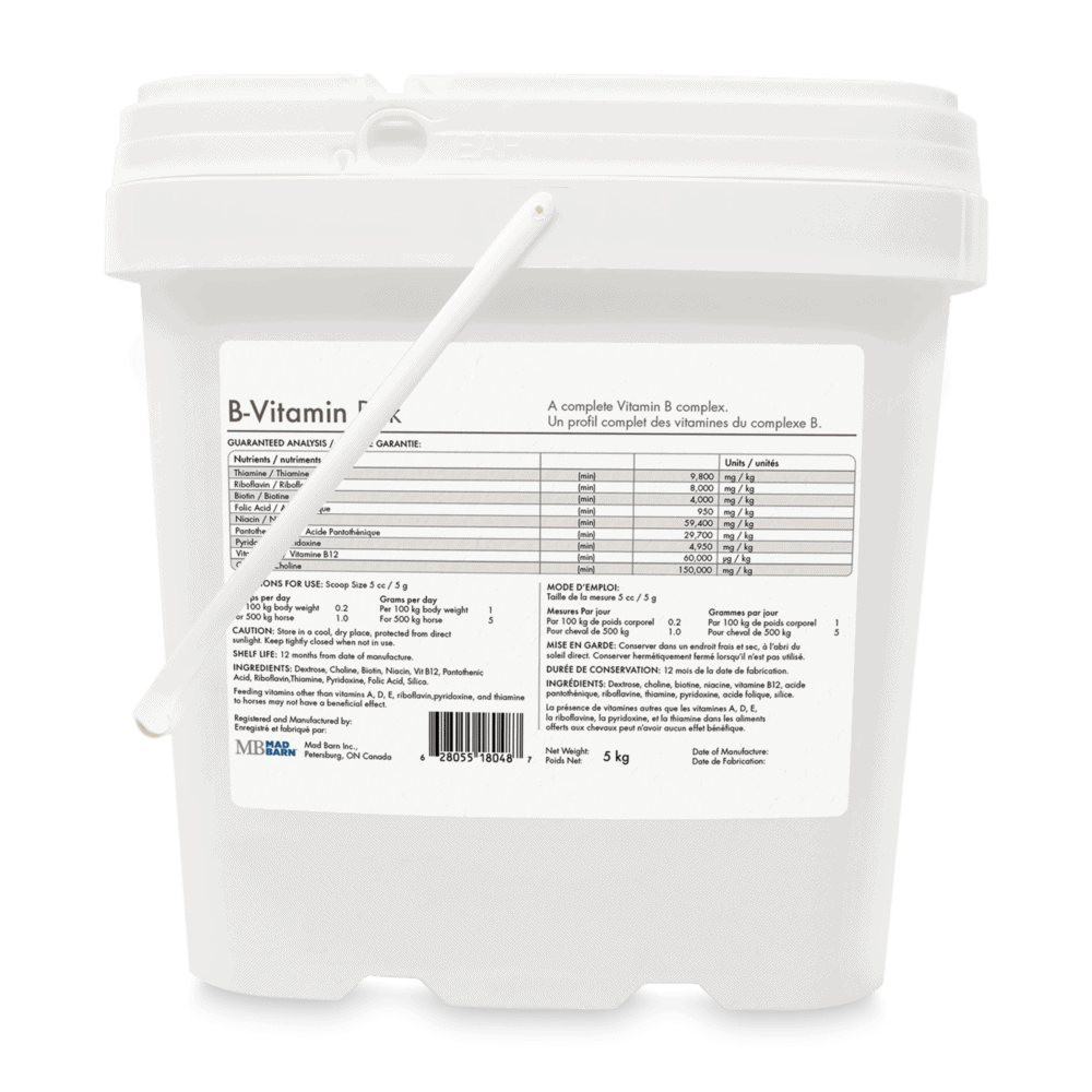B-Vitamin Pak - Equine B-Complex Supplement | Mad Barn Canada