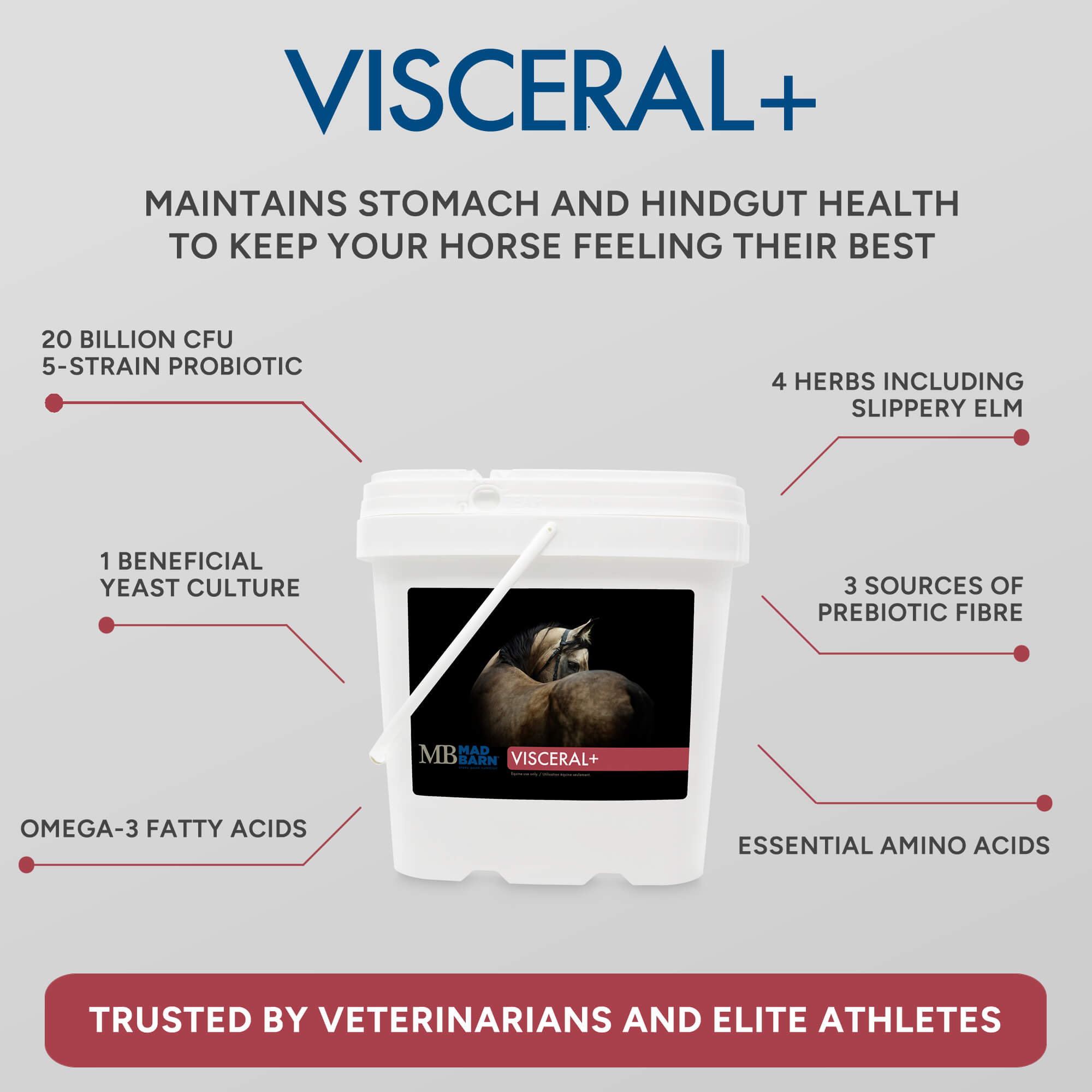 Visceral+ Gastric & Hindgut Supplement for Horses | Mad Barn