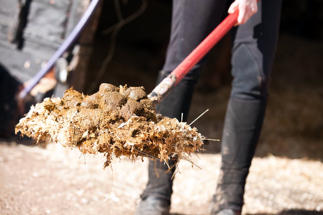 Manure Management Strategies for Horse Farms | Mad Barn