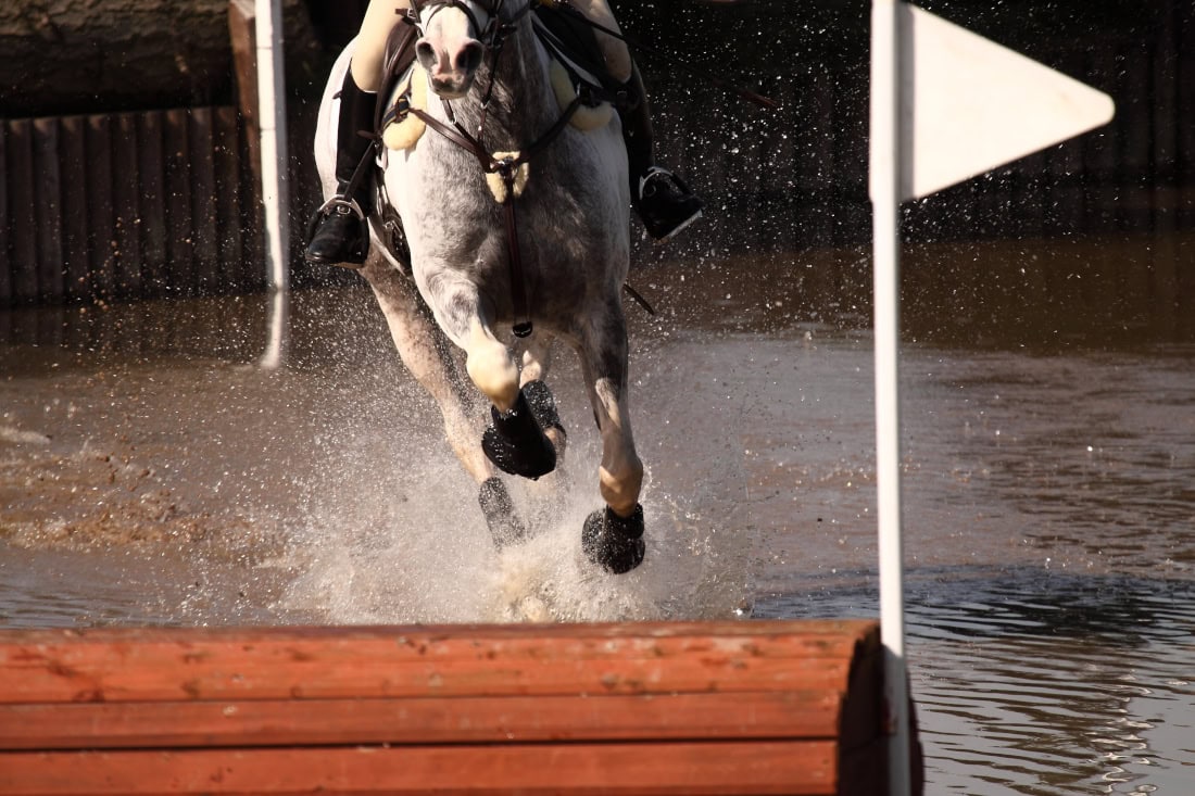 Equestrian Eventing: History, Competition & Rules – [Discipline Guide ...