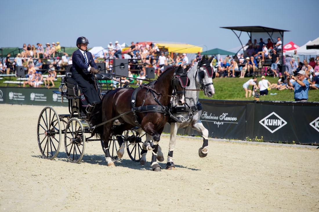 Equestrian Combined Driving: History, Competition & Rules – [Discipline ...