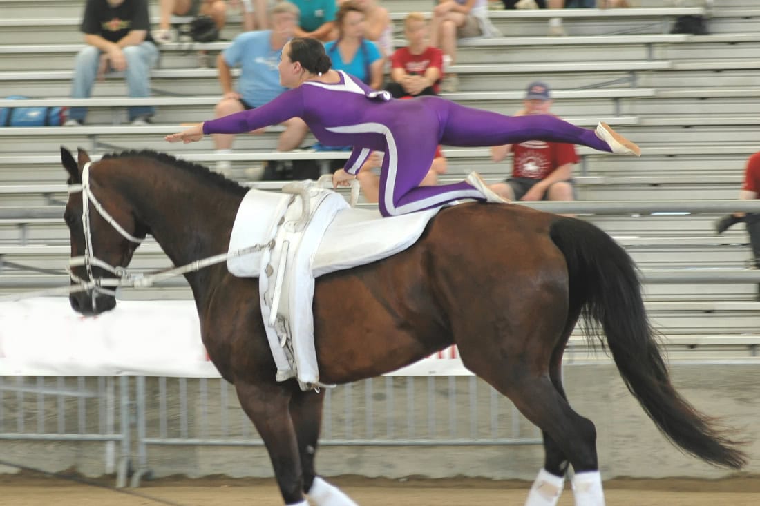 Equestrian Vaulting: History, Competition & Rules – [Discipline Guide ...