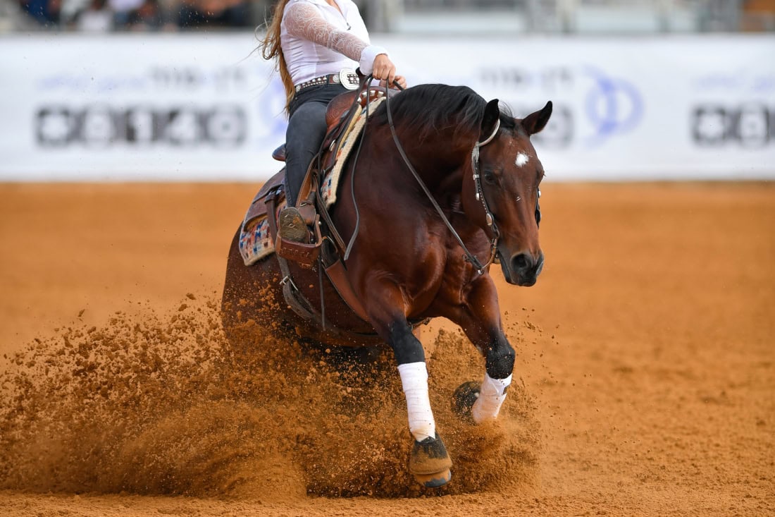 Equestrian Reining: History, Competition & Rules – [Discipline Guide ...