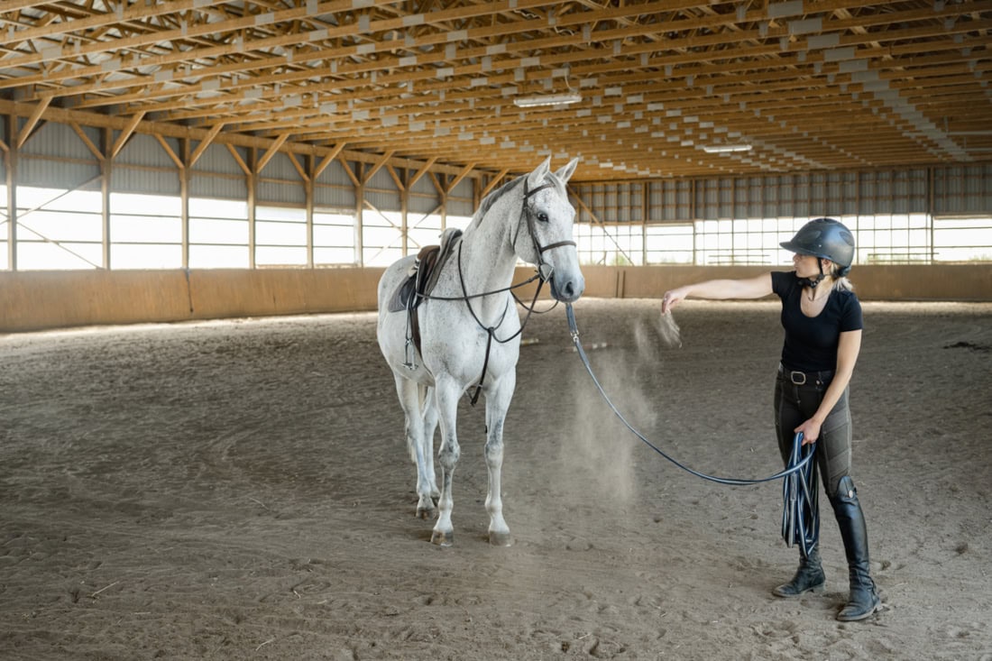 How Do Horses Learn? The Science Behind Equine Training & Behavior ...