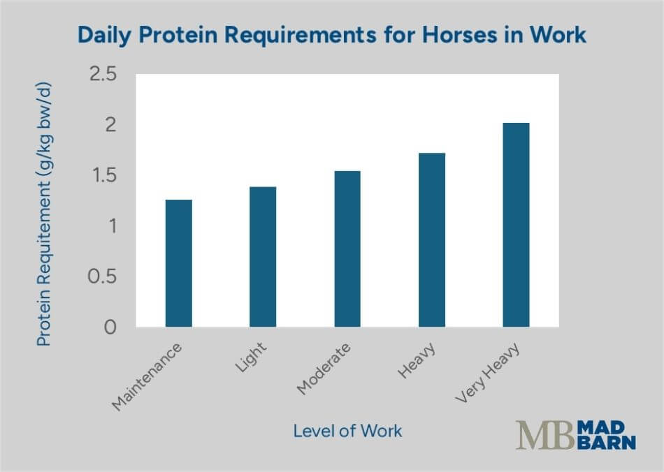 Protein in the Equine Diet: Nutrient Requirements, Sources & Amino ...