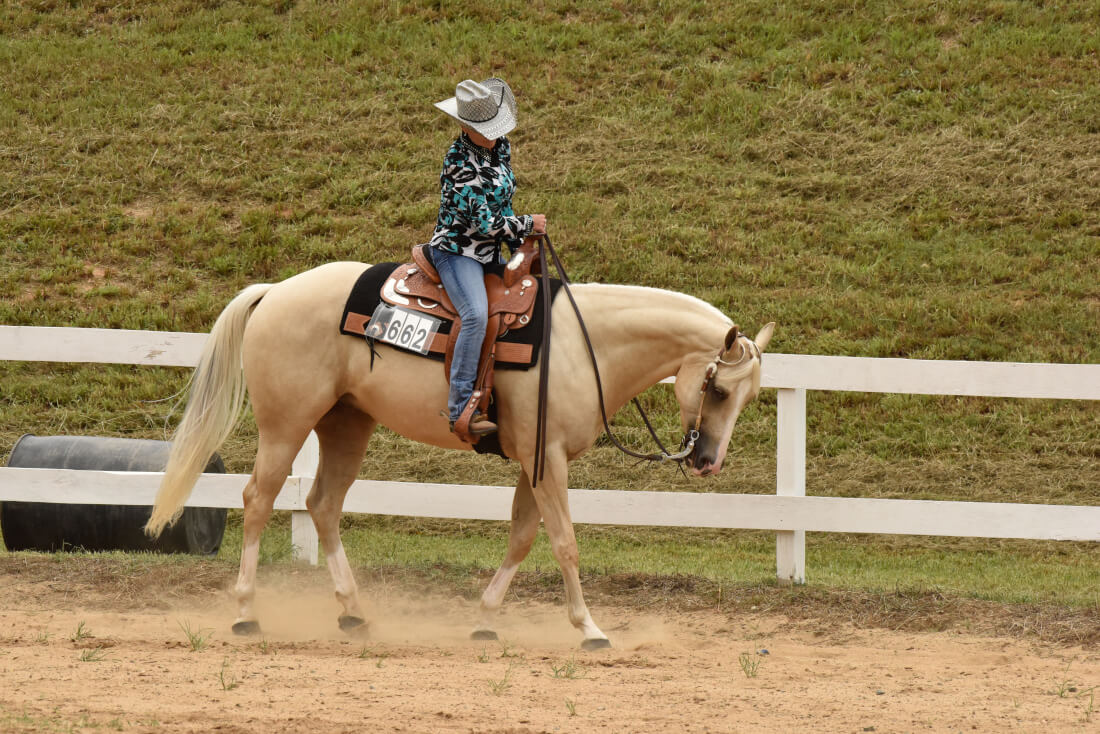 Western Pleasure Horse Showing: History, Competition & Rules | Mad Barn