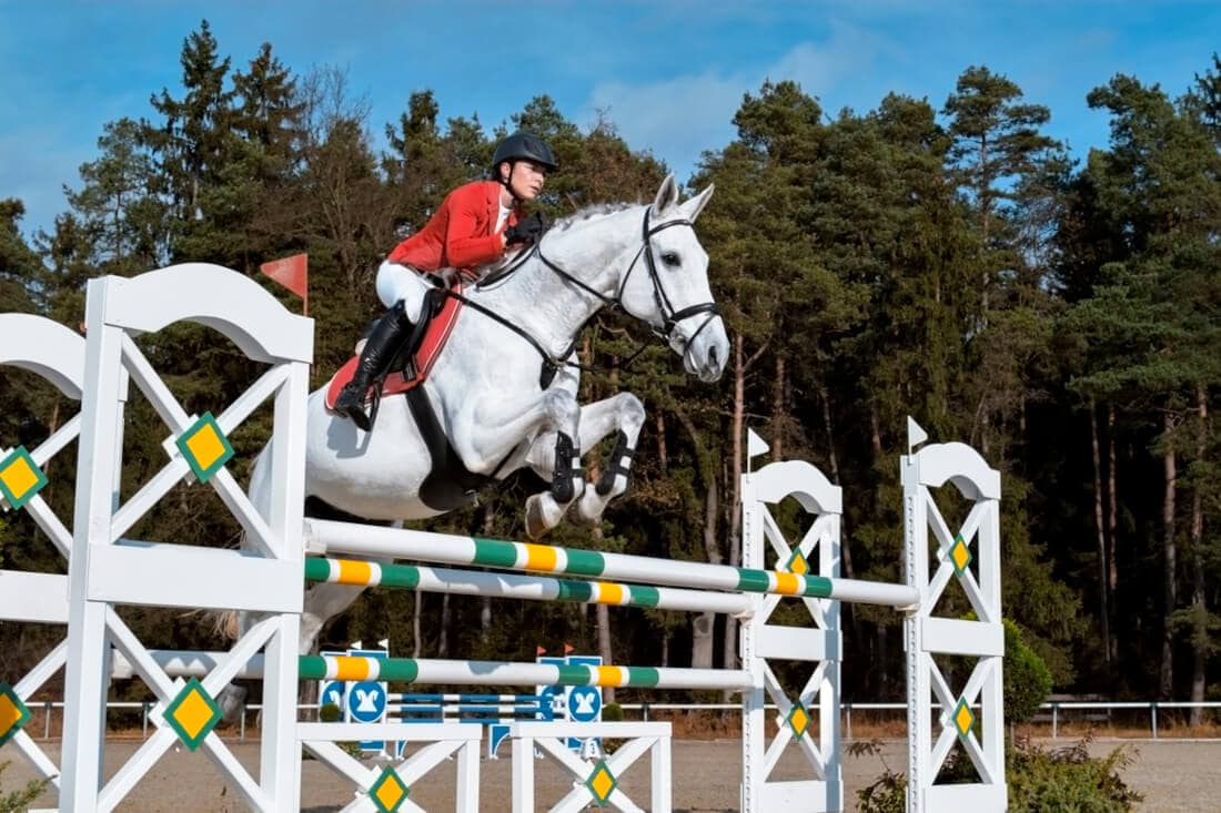 Workout Recovery in Horses: Post-Exercise Strategies to Optimize ...