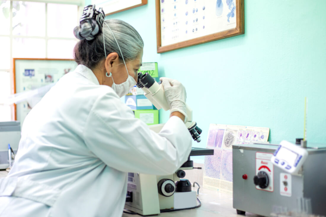 Necropsy in Equine Medicine: A Veterinarian’s Guide to Post-Mortem ...